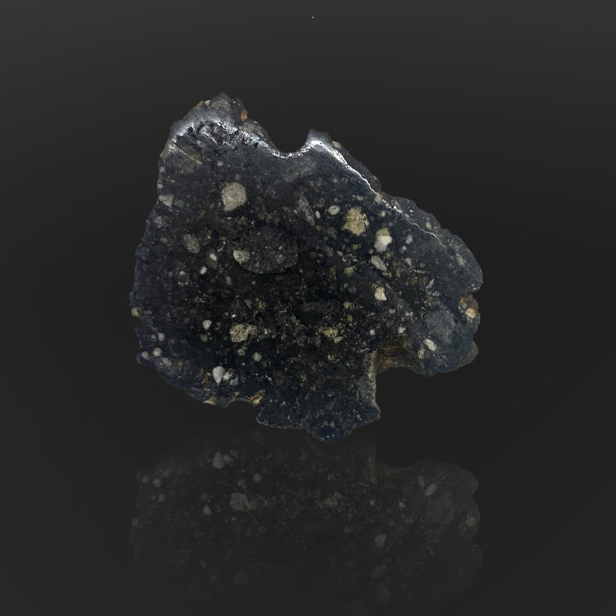NWA 11788, A Lunar Black Beauty– Space & Meteorite Co