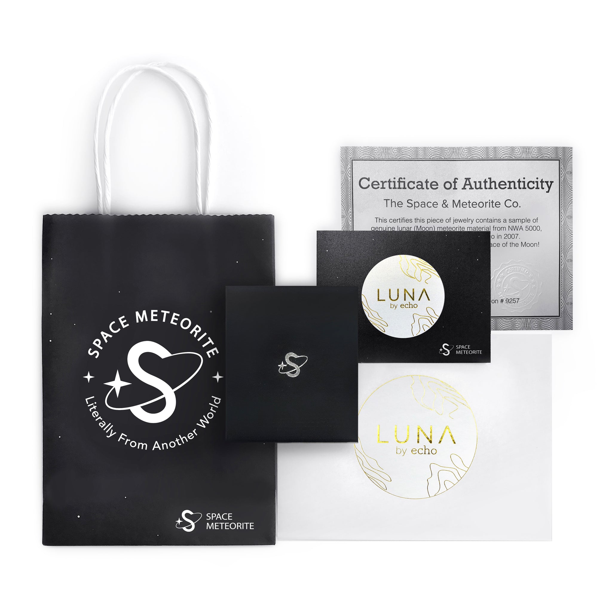 Authentic Moon Rock Blossom Series Necklace (From Lunar Meteorite NWA ...